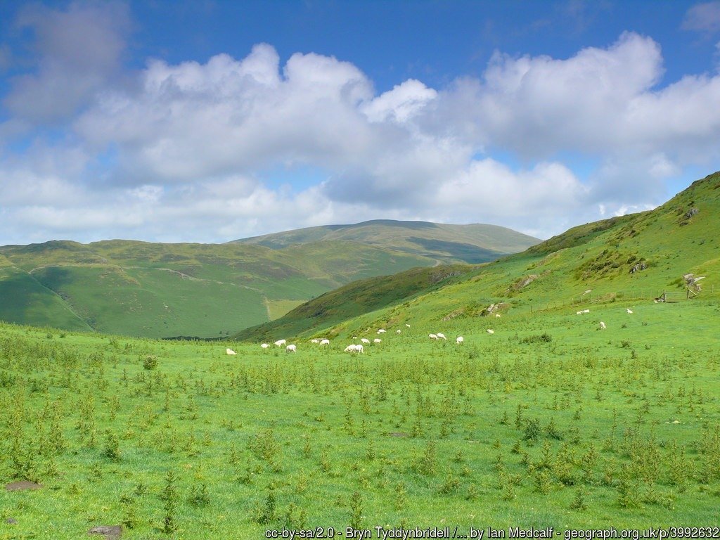 Walk the Wales Coast Path from Aberdyfi to Machynlleth | Wales Coast ...