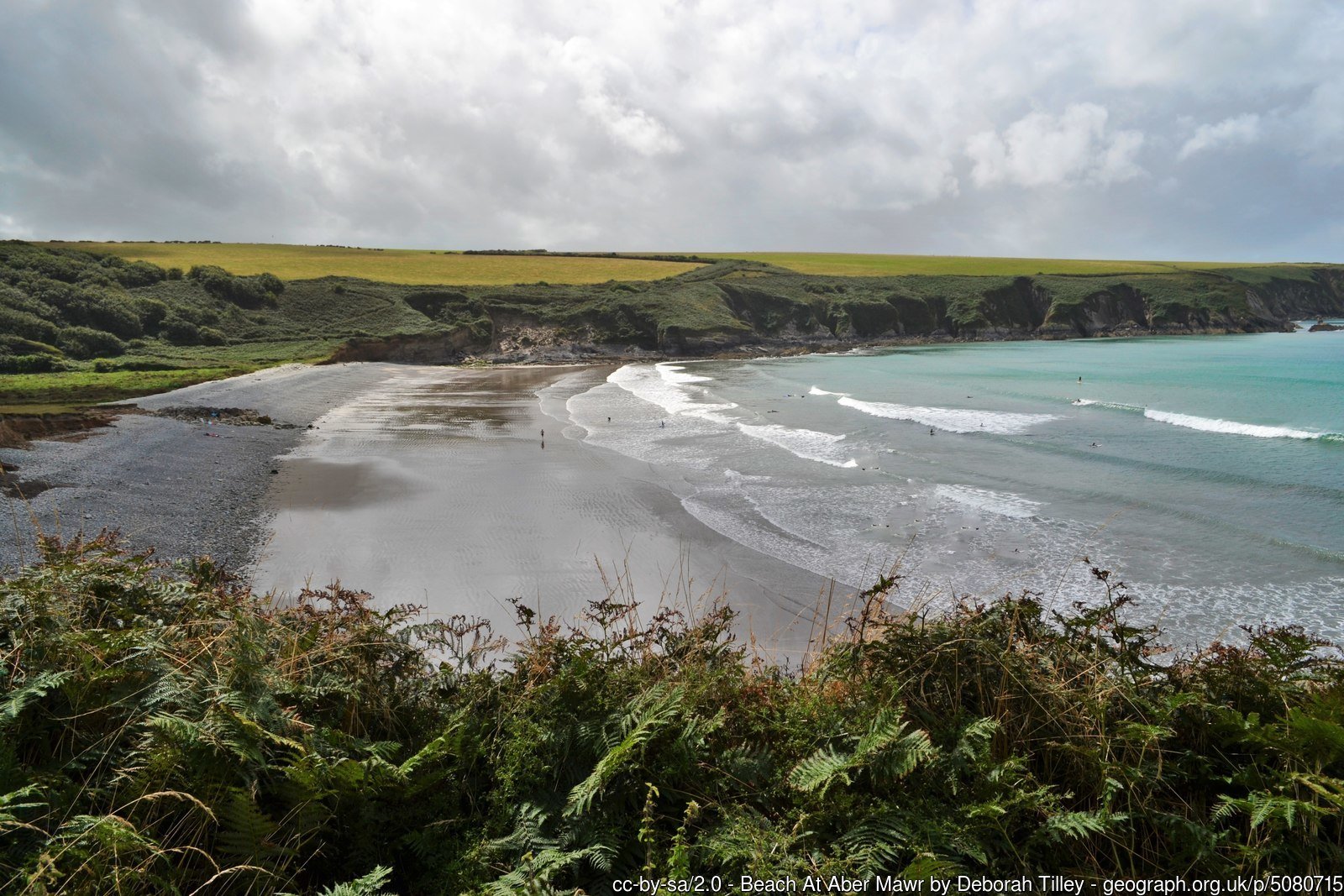 Walk the Wales Coast Path from Pwll Deri to Porthgain | Wales Coast ...